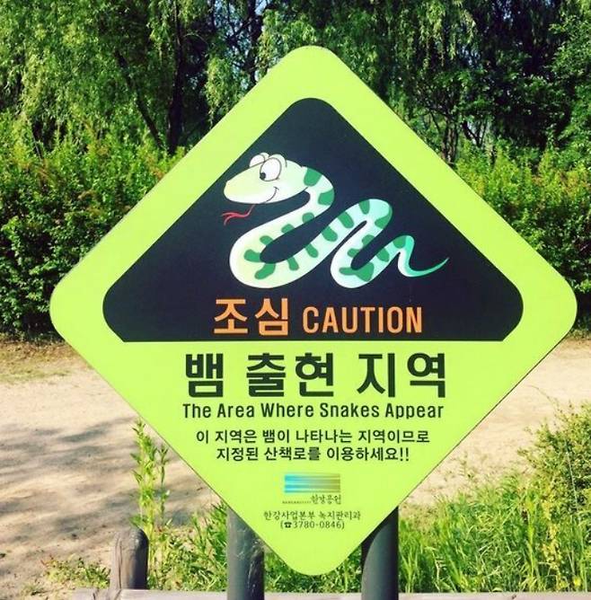 한강공원·캠핑장 놀러갔다 뱀 출현에 깜짝조심하세요