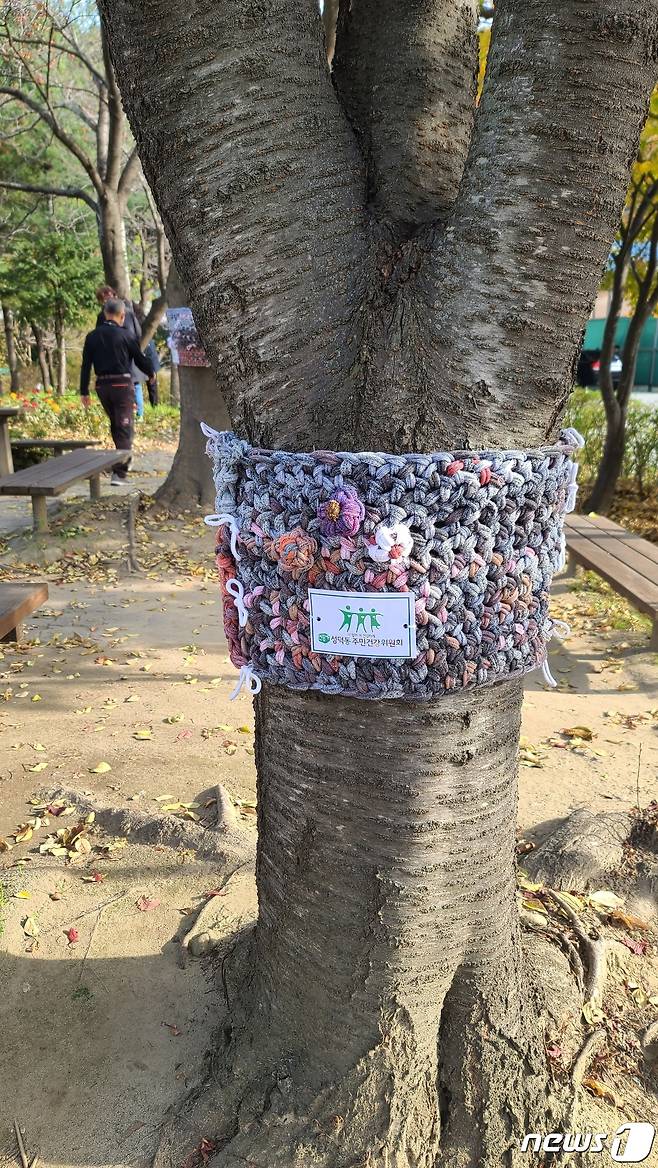 강릉 월대산 가로수 양말목으로 겨울 옷 입었네