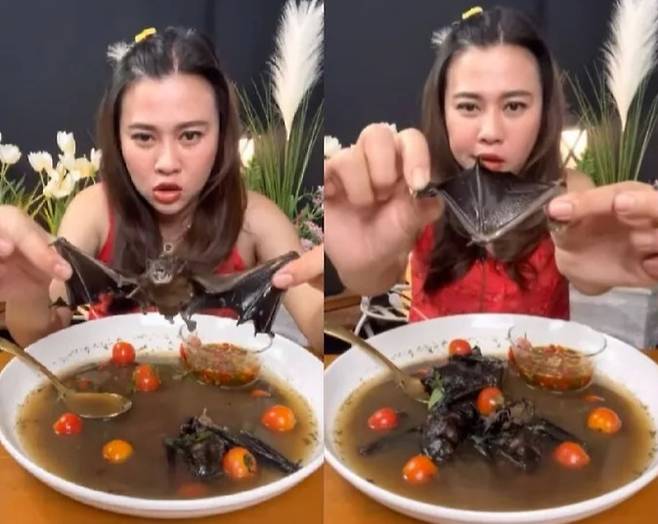 맛있네보호종 박쥐 뼈까지 씹어 먹은 태국 유튜버