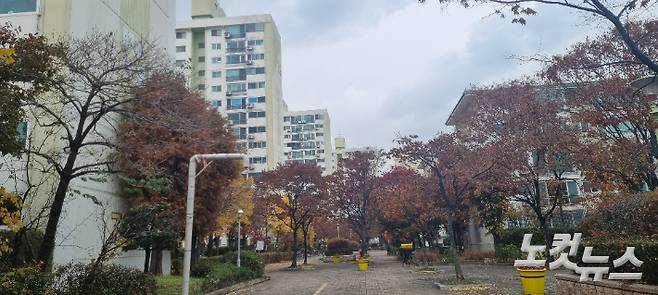 문의 이어져요집주인만 목동 재건축 물꼬 텄지만 매수는 조용