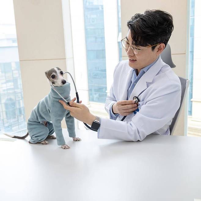 설채현 수의사 반려견 삼겹살 먹으면 급성 췌장암 걸리기도” 경고컬투쇼