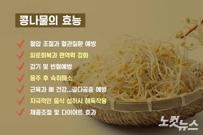 겨울철 대표음식 콩나물건강도 챙기고 농가도 살리고 영상