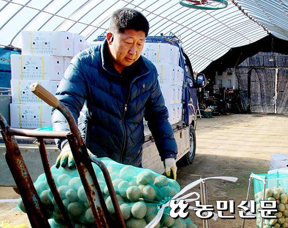 쌀 과잉해소 ‘논 타작물재배지원 밭작물 풍선효과 방지책 급선무”