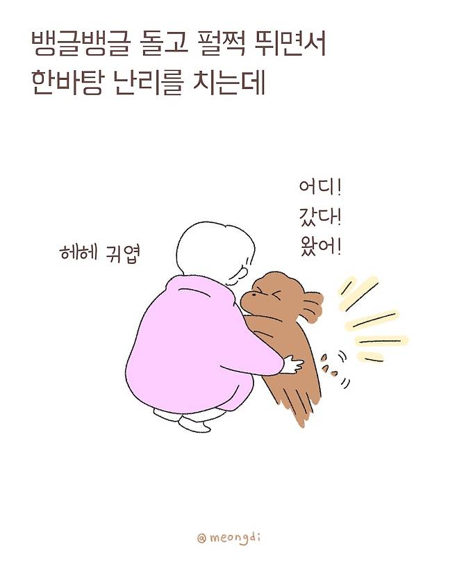 꼬리에서 딸랑딸랑 방울 소리 날 것 같은 강아지 키니일기