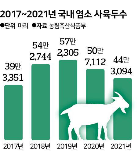 염소 한 마리 5년 만에 10만→150만 원개식용 기피 때문