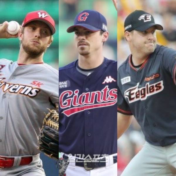 켈리·레일리·서폴드…WBC 나서는 푸른 눈의 KBO리거. 이강철호 언제 만날까