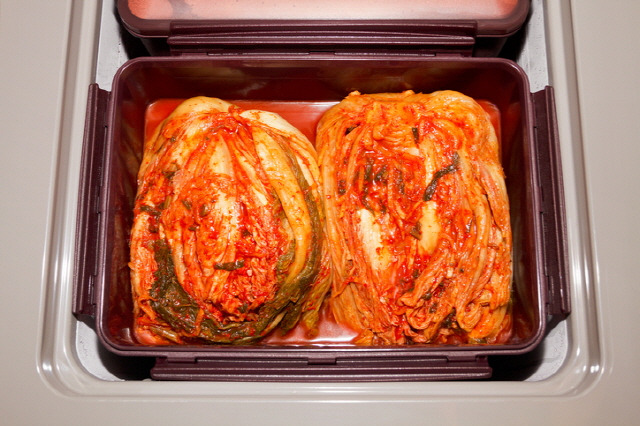 김치에 핀 곰팡이는 그냥 먹어도 된다