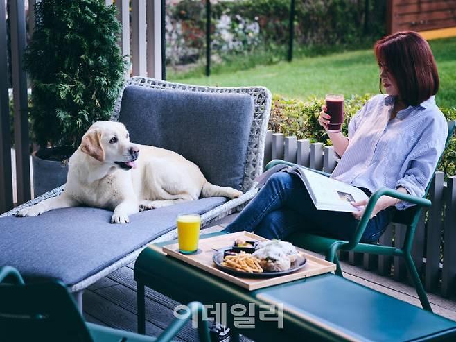 소노인터내셔널 댕댕이와 호텔 요리 즐기세요”
