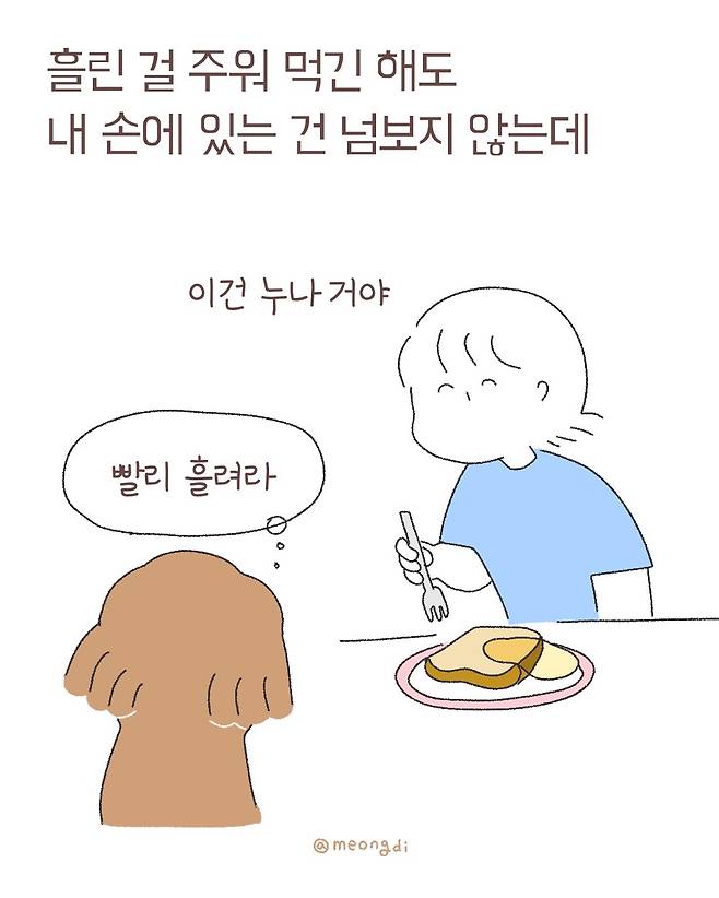 나도 그거 먹고싶어 눈치 보며 주인 손가락 핥는 강아지 키니일기