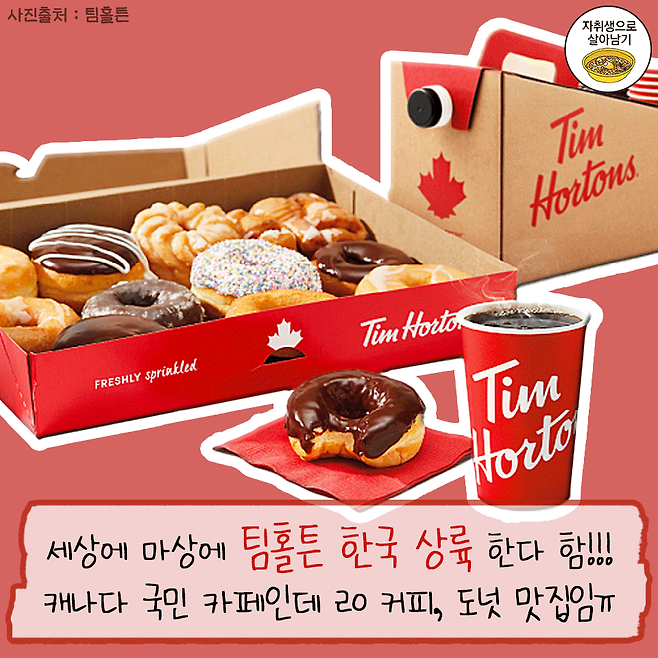 드디어 한국에 상륙한 캐나다 국민카페 팀홀튼 자취생으로 살아남기