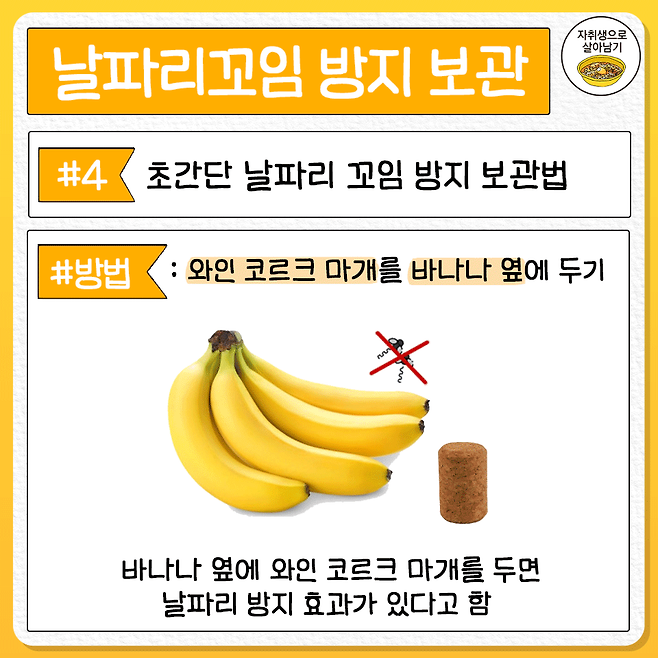 날파리 안 꼬이고 싱싱하게 바나나 보관하는 방법 자취생으로 살아남기