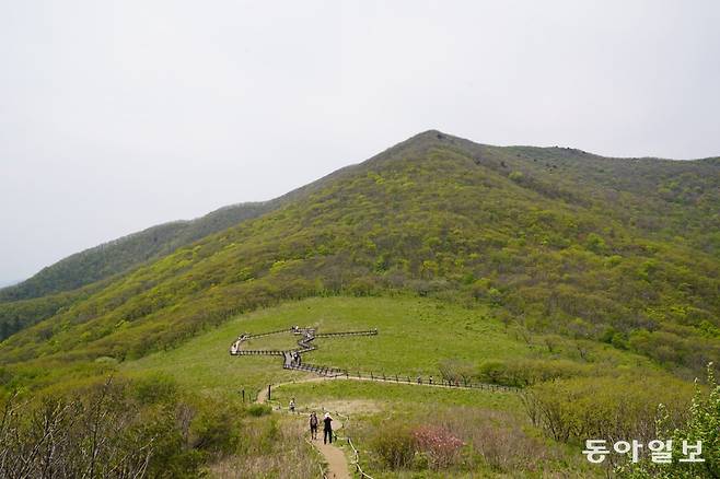 봄꽃 야생화가 가장 늦게까지 피어나는 ‘천상의 화원 전승훈 기자의 아트로드