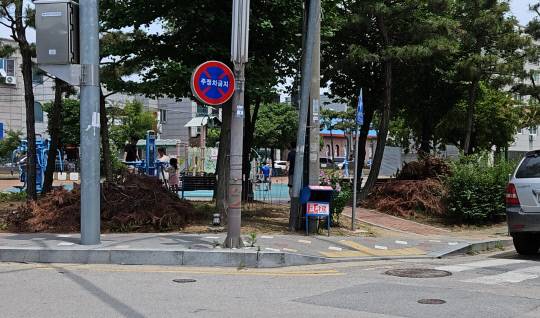 서산시 가로화단·공원 관리 부실 눈총
