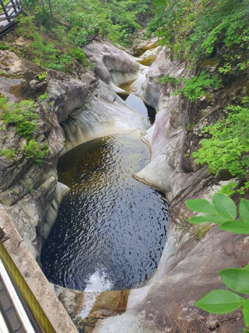 최동열의 산썰山說 11 그 거센 산불에 용케도 버텼구나 울진삼척 응봉산