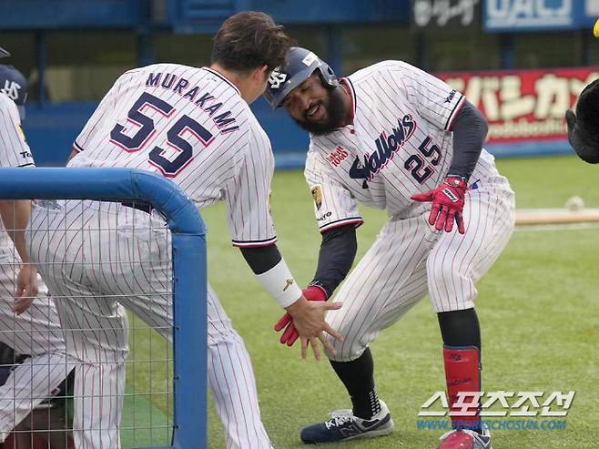 2경기 연속 홈런 홈런 홈런뒤늦게 발동건 괴물 무라카미 13~15호 치고 1위 오카모토 5개차 추격