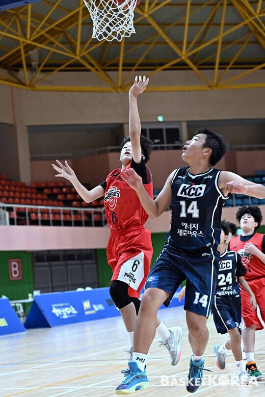23땅끝해남기 ‘kbl 우승 팀 울산 현대모비스 4전 전승으로 중등부 1위