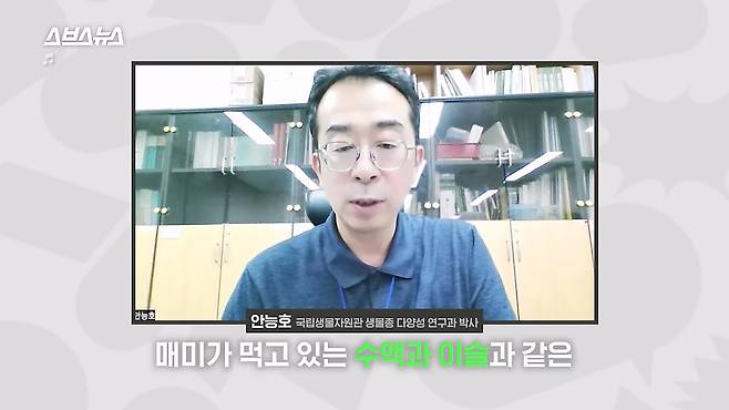 어 비 오나 마른하늘 물방울의 정체 스브스뉴스