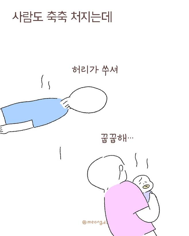 비오는 날 습한 강아지 키니일기