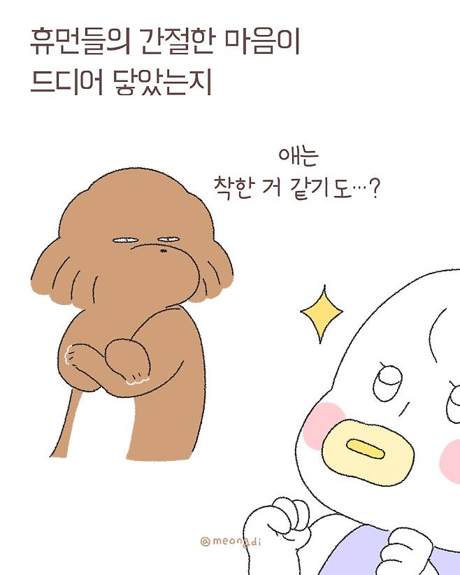 아기랑 꼬옥 붙어 자는 강아지 키니일기