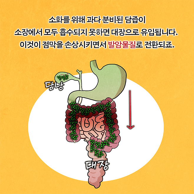 온 몸에 만성염증 유발하는 최악의 식습관 1위 북스피릿