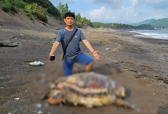 해안가서 좌초되는 바다거북 많아져 대책 세워야