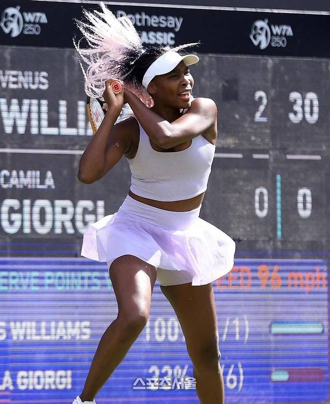 비너스 윌리엄스 제시카 페굴라 한국 온다10월7일 개막 Wta 코리아오픈내년엔 슈퍼 500 대회로 승격