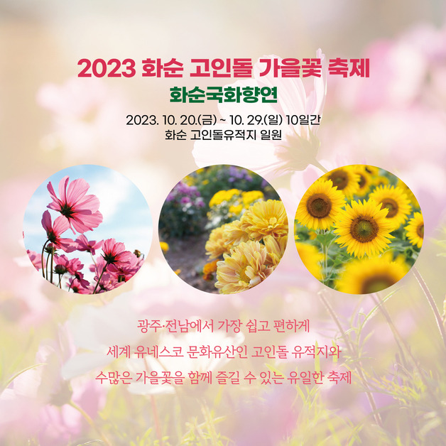 화순 고인돌 가을꽃축제 20일 고인돌공원 일원서 팡파르