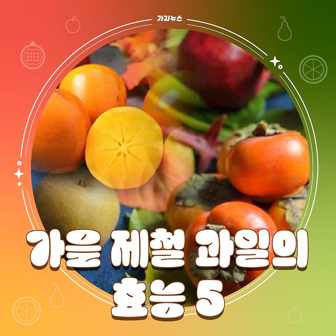 가을에 제철 과일을 먹으라는 이유5가지 눈에 띄는 효능 가지뉴스