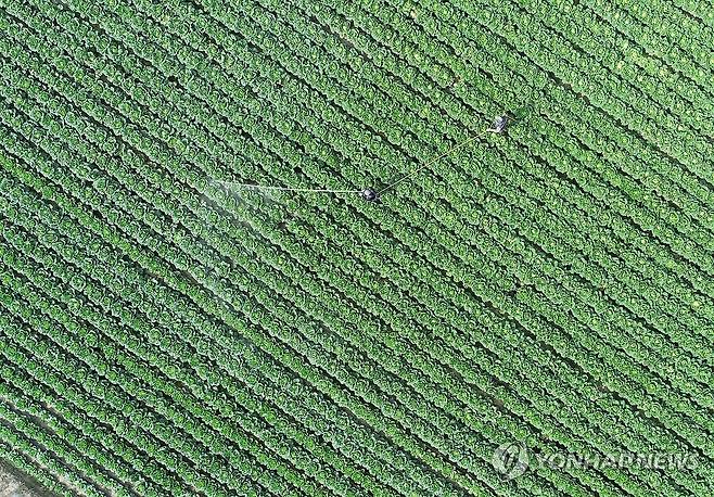맑고 일교차 큰 전형적인 가을날낮 최고 21~24도