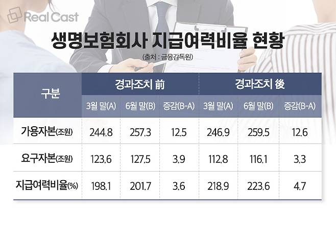 보험회사 2분기 지급여력비율 47p 증가건전성 향상 리얼캐스트