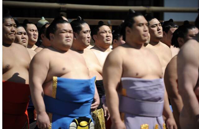 120kg 스모 선수들 탄다”깜짝 놀란 일본항공의 대책은