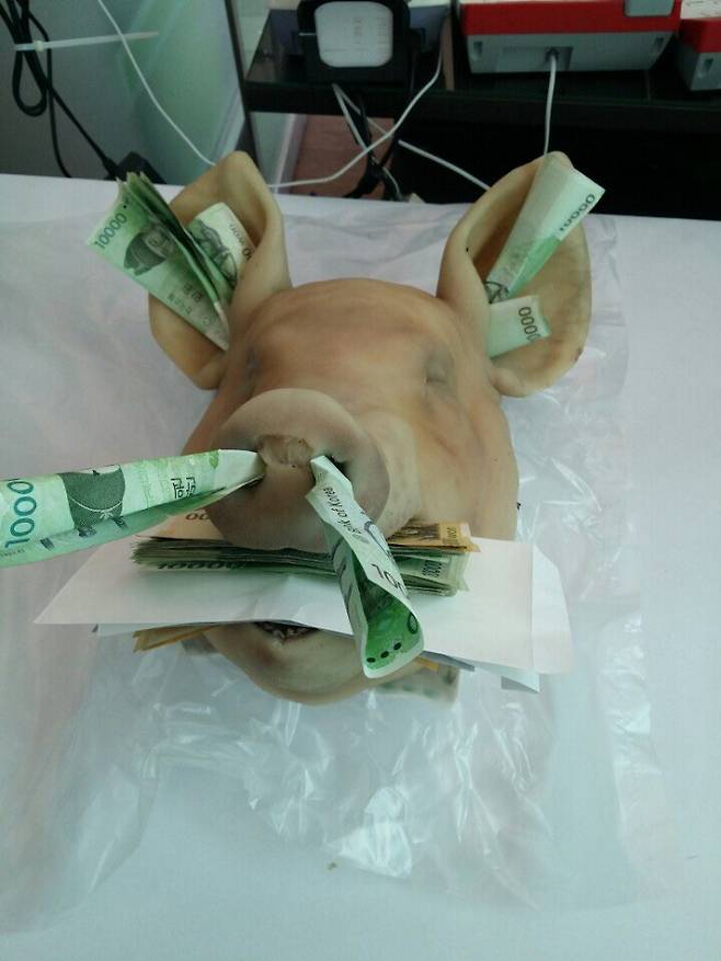 고사상 돼지머리에 5만원 꽂았다 ‘벌금형 날벼락왜