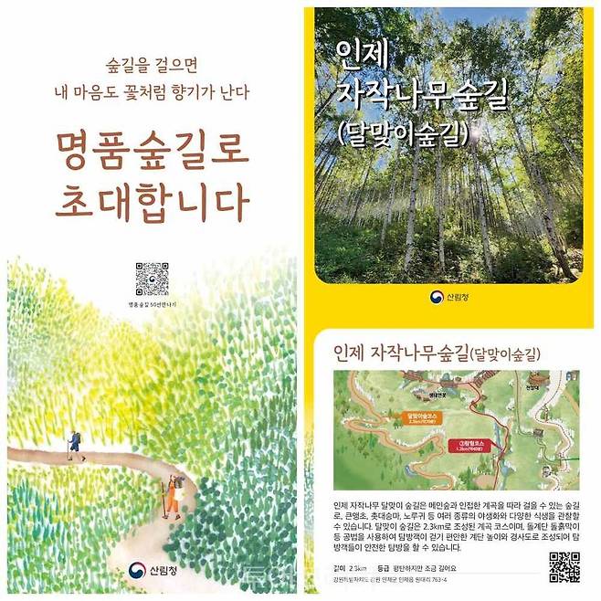 걷기 좋은 명품숲길 50선 걸어요