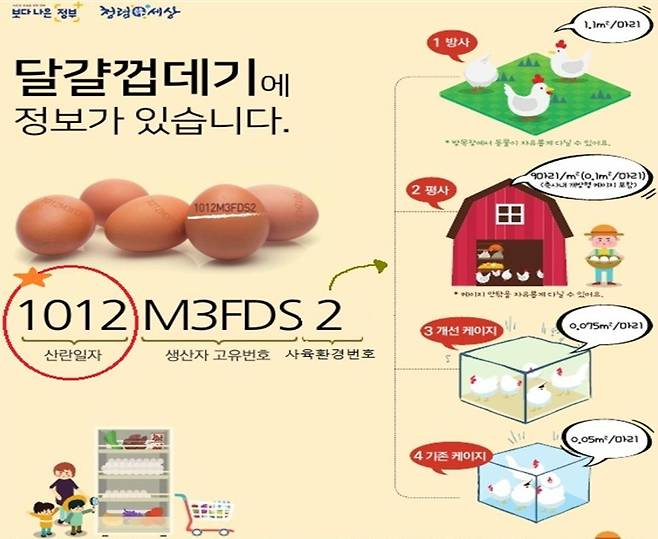 계란 살 때 뭐 보세요난각번호의 비밀