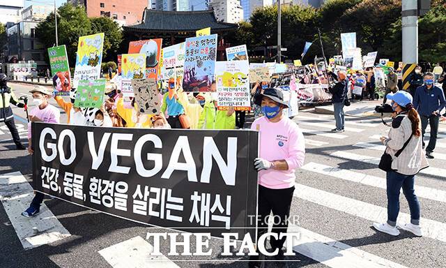 세계 비건의 날 기념 채식 촉구 거리행진 Tf사진관
