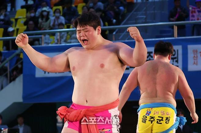 씨름판 김민재도 힘냈다통산 7번째 백두장사 등극 안산김홍도 장사대회