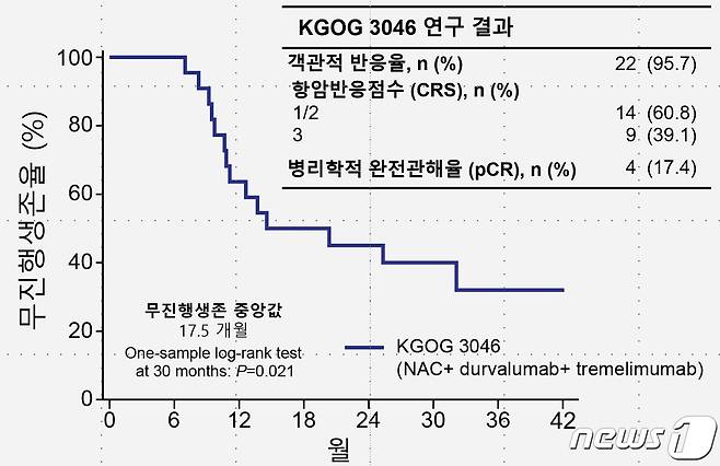 난소암 환자 면역항암제 투약암 성장 늦추고 치료 효과 증대