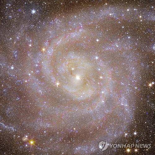 월드and포토 반짝반짝 빛나는 유클리드 망원경 첫 우주 사진