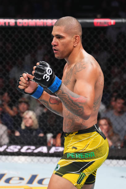 페레이라 도전 Ufc 두 체급 정복····프로하스카와 타이틀전