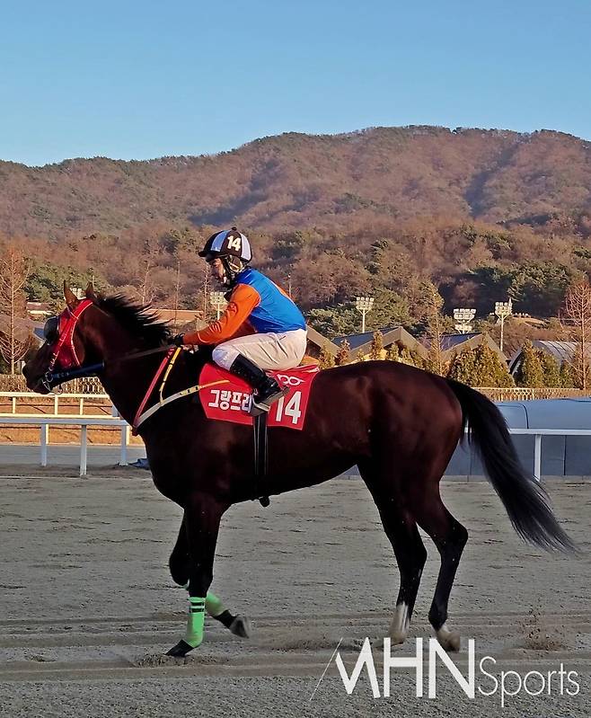 그랜드슬램 달성한 '위너스맨', 경매 인기로 이어졌다