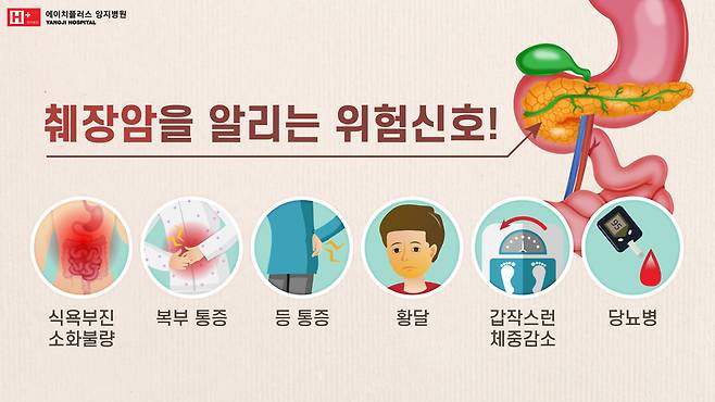 등 아파서 병원 갔는데췌장암 3기입니다 1일 1짤