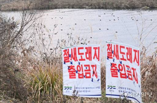 야생조류 고병원성 Ai 확인 위기 단계 ‘심각 포토뉴스