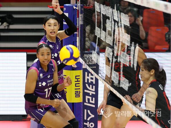 블로킹 볼 바라보는 김연경 레이나
