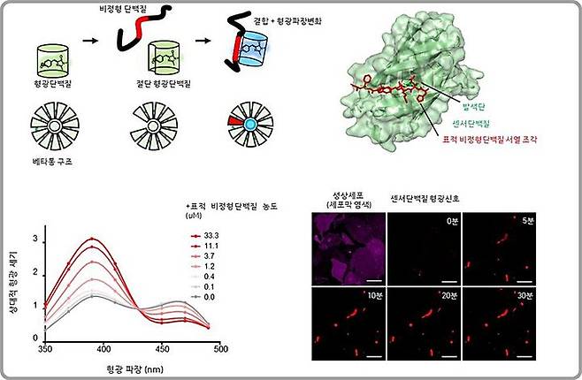 Kaist 알츠하이머 조기진단 센서 단백질 개발