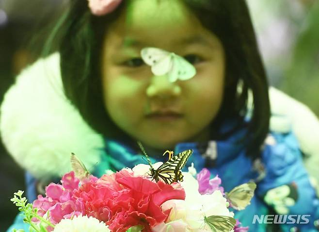 나비가 신기해요