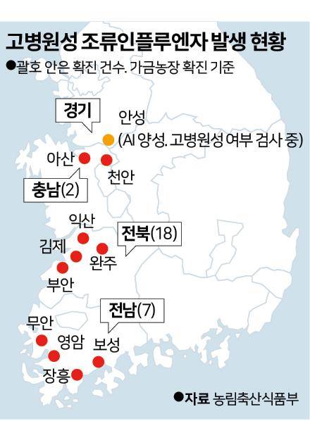 한 판 7000원 넘은 계란값 불안 커져 설 앞두고 Ai 확산