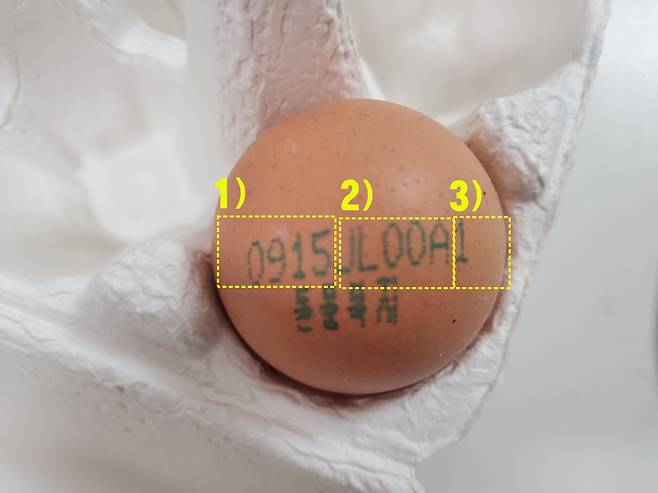 마트에서 이런 계란 산다면 바보입니다 어썸클
