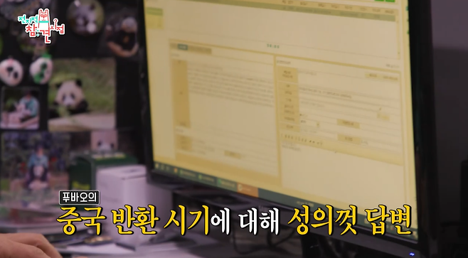 벚꽃 피기 전에 한국 떠난다는 푸바오 에브리원해