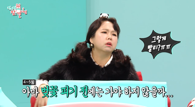 벚꽃 피기 전에 한국 떠난다는 푸바오 에브리원해