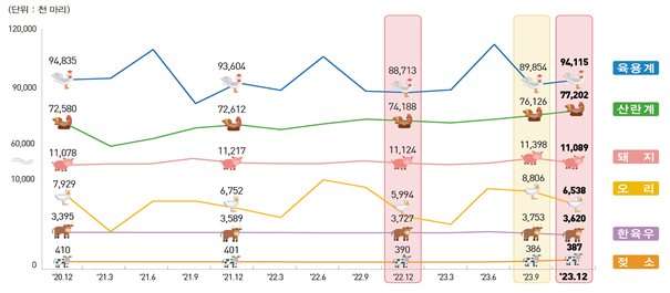 작년 4분기 산란계 사육마릿수 41 ↑노계 도태 감소 영향